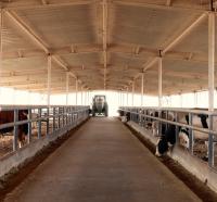 China Galvanized Prefab Steel Structure Dairy Cattle Shed for sale