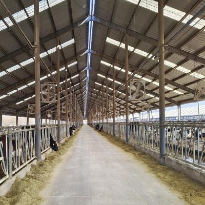 China Long Serive Life Prefab Steel Structure Cattle Shed With Surface Treatment for sale