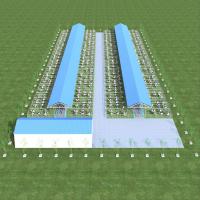 China Long Serive Life Prefab Steel Structure Cattle Shed With Surface Treatment for sale