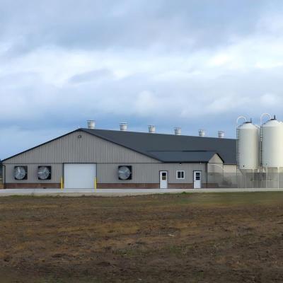 China Prefabricated Steel Poultry Sheds Quick-Bolt Assembly No Special Tools Required for sale