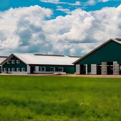 China Africa 100m by 20m Insulated Design Prefabricated Steel Structure Chicken House for sale