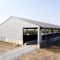 China Open House Design Custom Steel Structure Prefab Cattle Farm Shed With Roof Ventilation for sale