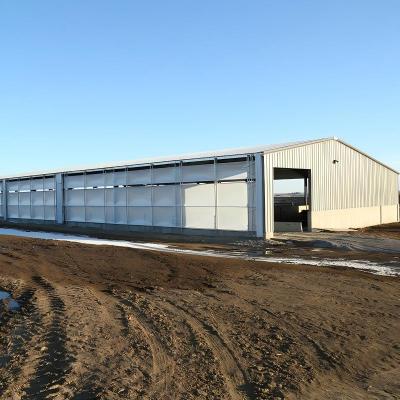 China Premium Pre-Engineered Steel Cattle Shelter Easy Assembly for sale