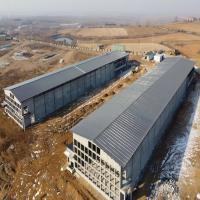 China Customizable Dimensions High Strength Steel Frame Fast Installation Prefabricated Steel Structure Poultry House for Broiler Farming for sale