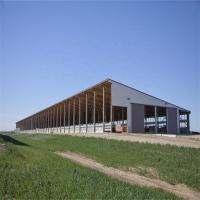 China Prefabricated Steel Structure Cattle Shed for Dairy Farm for sale