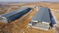 China Prefabricated Modern Steel Structure Poultry House For Egg-Laying Hens for sale