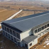 China Prefabricated Steel Structure Cattle Shed for Dairy Farm for sale