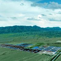 China Long Serive Life Prefab Steel Structure Cattle Shed With Surface Treatment for sale