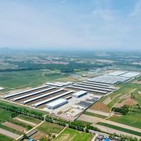 China Long Serive Life Prefab Steel Structure Cattle Shed With Surface Treatment for sale