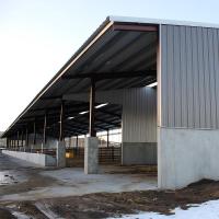 China Hot Dipped Galvanized Steel Cattle Shed With Roof Insulation for sale