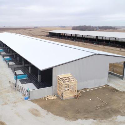 China Hot Dipped Galvanized Steel Cattle Shed With Roof Insulation for sale