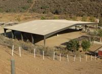 China Steel Frame Cowshed Metal Horse Stable Structure Q235B Q355B for sale