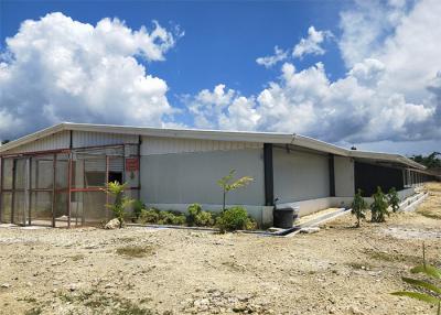 China Poultry House Steel Structure Building with Glass Wool Insulation for sale