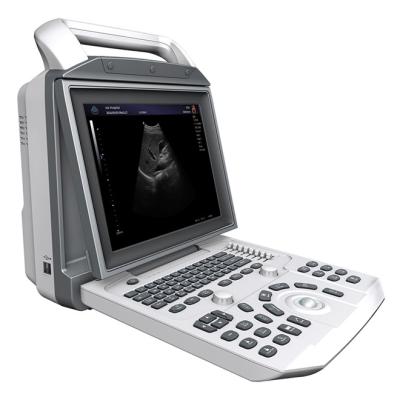 China 256 Gray Scale Ultrasound Machine with USB Connectivity and User-Friendly 68*44.5*24.5cm Packaging Size for sale