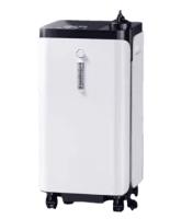 China 10L Oxygen Concentrator DH-Y101W for sale