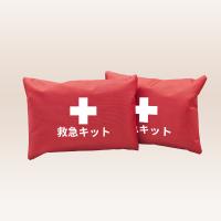 China Portable Outdoor First-Aid Kit 20x13cm with Gauze Bandage & Band-Aids for Camping Hiking Travel for sale