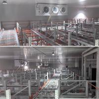 China Four-Way Shuttle Pallet ASRS Cold Storage Warehouse Automatic Storage and Retrieval System Pallet Runner Racking for sale