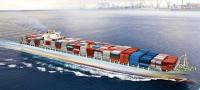 China Sea Freight Forwarder From China To India DDP FBA Shipping Service for sale