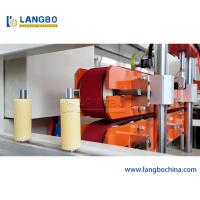 China PVC Sealing Strip Making Machine Single Screw Extrusion 40-100kg/h Output PLC Control for sale