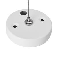 China Plated Suspended Light Accessories Ceiling Canopy for Hanging Lamps Wire Rope for sale