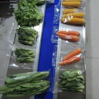 China PLC Control Pillow Bag Packaging Machine Plastic Horizontal Pillow Packing Machine for sale