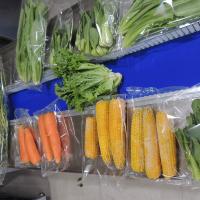 China PLC Control Pillow Bag Packaging Machine Plastic Horizontal Pillow Packing Machine for sale