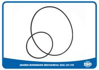 China FFKM NBR EPDM Rubber Mechanical Seal O-Rings - Temperature Range -40°C to 200°C, 65-75 Shore A Hardness for sale