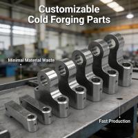 China High Strength Cold Forging Parts with HRC 40-60 Hardness and Customizable Dimensions for Cost Efficiency for sale