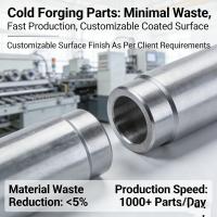 China High Cost Efficiency Cold Forging Parts with Customizable Dimensions and Good Corrosion Resistance for sale