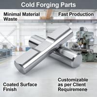 China High Cost Efficiency Cold Forging Parts with Customizable Dimensions and Good Corrosion Resistance for sale