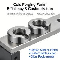 China High Cost Efficiency Cold Forging Parts with Customizable Dimensions and Good Corrosion Resistance for sale