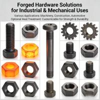 China Customizable Dimensions Cold Forging Parts with Optional Heat Treatment and Good Corrosion Resistance for Industrial Uses for sale