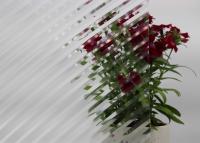 China Custom Engraved Decorative Glass Sheet 4-10mm Thick 1830x2440mm CE CCC for sale