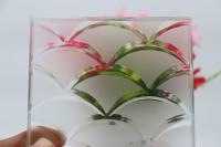 China Custom Engraving Glass for Interior Decoration 3mm 4mm 5mm 6mm 8mm 10mm Thickness for sale