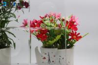 China Personalized Engraved  Etched Glass Sheet 30x40 48 X 48  48 X 96 for sale