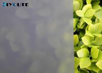 China Acid Etched Satin Glass 3mm-12mm CE Certified 85% Light Transmittance for sale