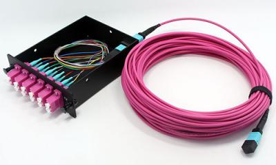 China Fiber Optic MPO MTP Cable 8 Fiber OM4 LSZH Jacket for Network Connections Data Center for sale