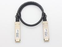 China 200G QSFP56 QSFP DD DAC Cable High Speed Sfp Passive Coax Dac Cable for sale