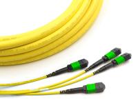 China High Density 48 Cores 4pcs 12F Male SM 9 125um G657A2 LSZH 0.35dB Max. MPO Patch Cable for 100G Fiber Optic Communication System Cord Type B for sale