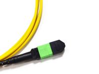 China MPO female to MPO female fiber optic patch cord cable Elite Low IL 12 Fiber B polarity 2M for Fiber Optic Communication System for sale