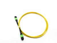China MPO female to MPO female fiber optic patch cord cable Elite Low IL 12 Fiber B polarity 2M for Fiber Optic Communication System for sale
