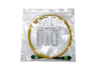 China MPO female to MPO female fiber optic patch cord cable Elite Low IL 12 Fiber B polarity 2M for Fiber Optic Communication System for sale