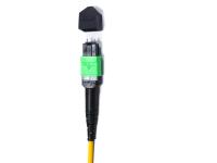 China 12 Fiber MPO to FC Breakout Cable with LSZH Jacket for 40G/100G/400G Networks for sale