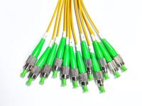 China 12 Fiber MPO to FC Breakout Cable with LSZH Jacket for 40G/100G/400G Networks for sale