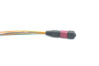 China 12core MPO-LC Multimode Fiber Optic Breakout Patch cable 0.9mm for MPO Cassettes and Modular Enclosures for sale