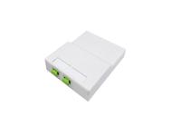 China 2 Port SC ABS Wall Mount Fiber Optic Termination Box With Pigtails G657B3 for FTTH Indoor Network for sale