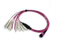 China 8 Fiber MPO to SC Duplex Breakout Cable OM4 — 40G QSFP+ SR4 Fanout for sale