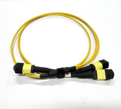 China MPO Trunk Cable 16 Fiber Elite Type  MPO 16F to 2x 8F Single Mode OS2 Female Type B LSZH Max IL 0.35dB Customized Length for sale