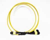 China MPO Trunk Cable 16 Fiber Elite Type  MPO 16F to 2x 8F Single Mode OS2 Female Type B LSZH Max IL 0.35dB Customized Length for sale