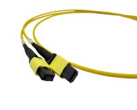 China MPO Trunk Cable 16 Fiber Elite Type  MPO 16F to 2x 8F Single Mode OS2 Female Type B LSZH Max IL 0.35dB Customized Length for sale